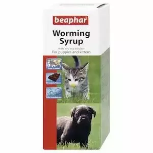 Best Cat Wormers Reviewed for 2025 - Petz