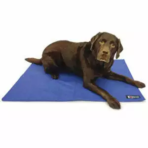 Best Dog Cooling Mats UK 2026: Expert Reviews