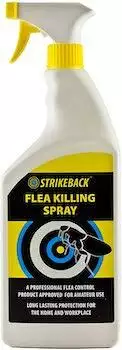 Best Household Flea Treatments Reviewed for 2025 - Petz