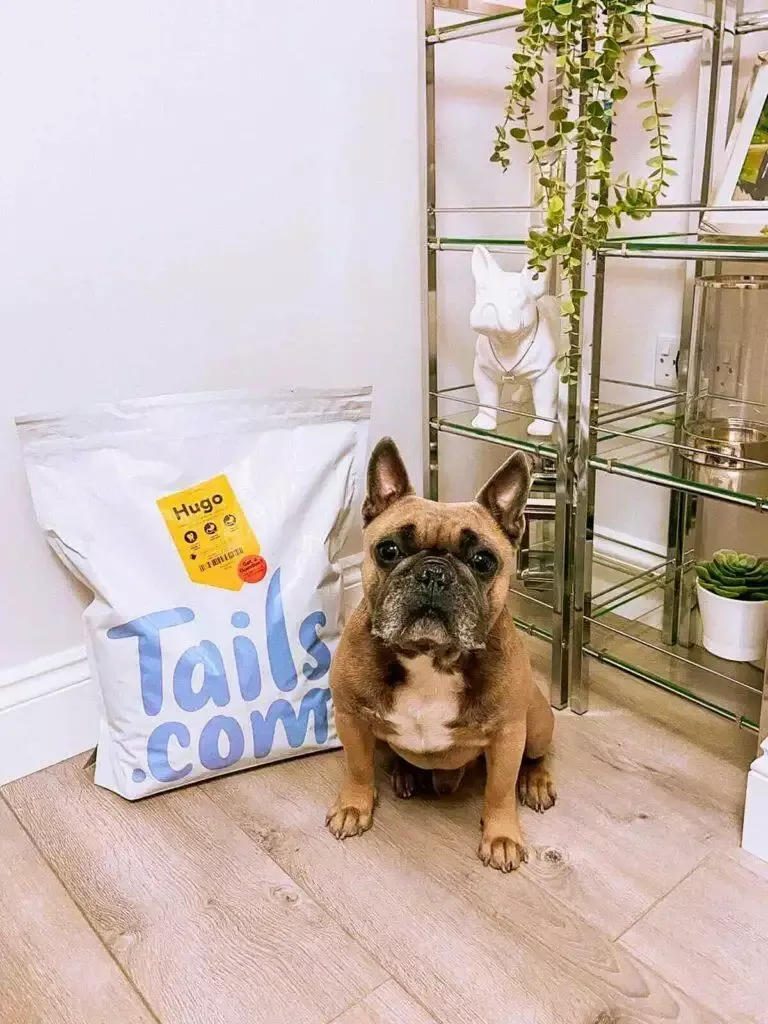 Tails.com Review: The Tailored Dog Food Delivered To Your Door - Petz