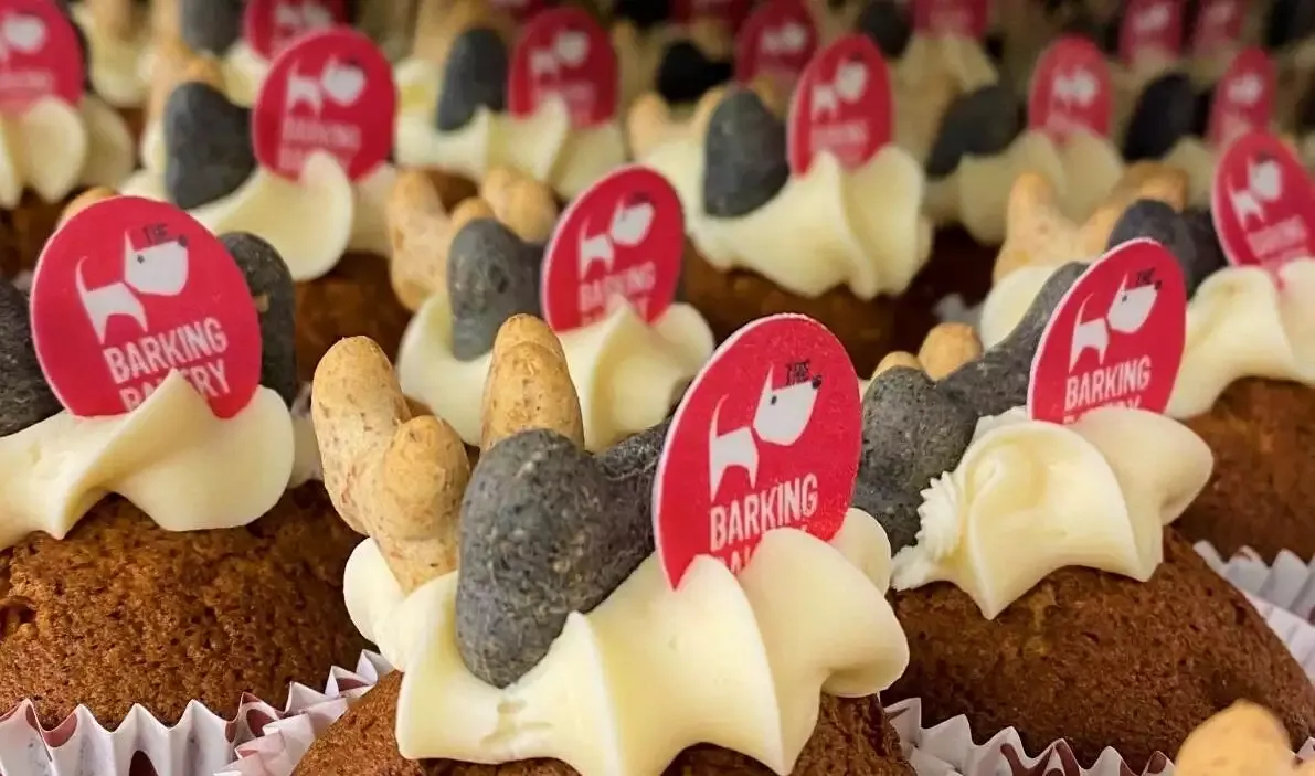 Small Business Spotlight: The Barking Bakery - Petz